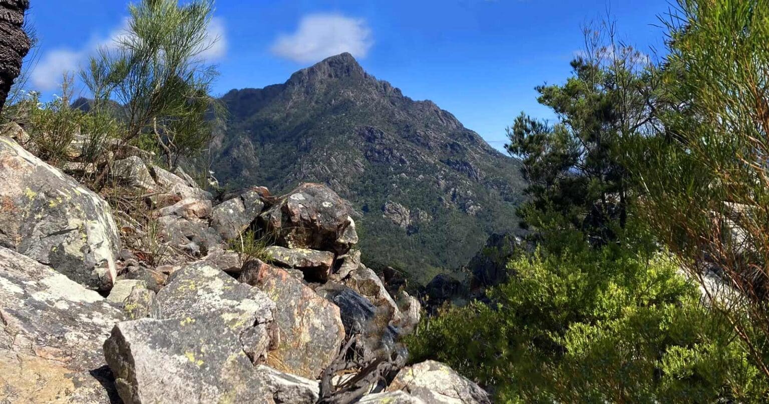 Mount Barney Summit Hike (15km) - Mount Barney National Park, QLD