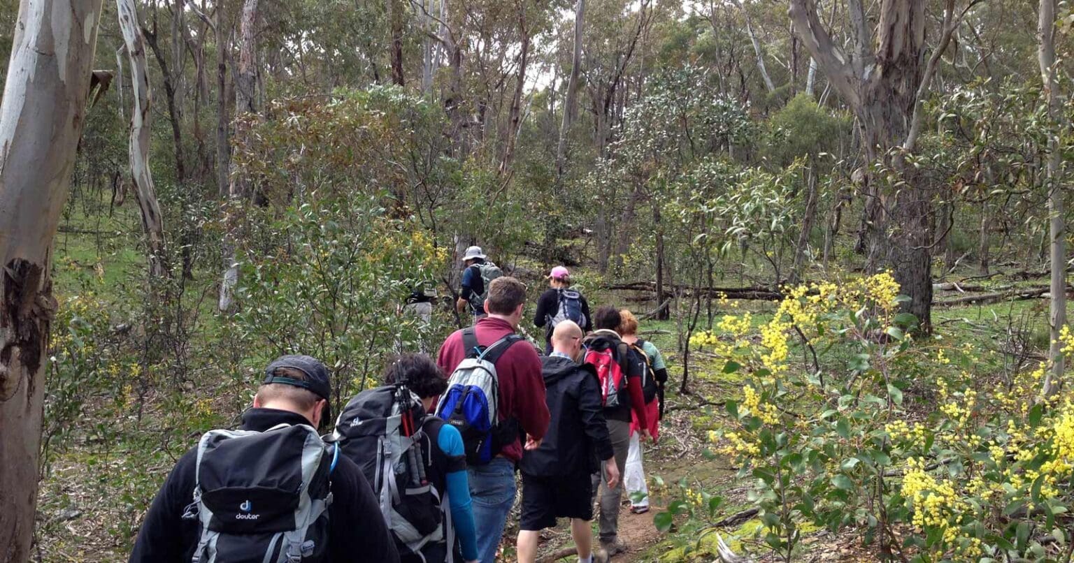 The Burchell Trail Hike (35km) - Brisbane Ranges National Park, VIC