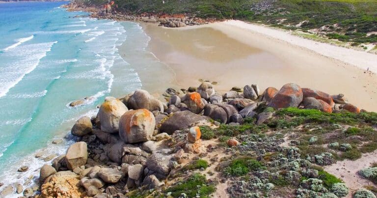 Lilly Pilly Gully Circuit Hike (6km) - Wilsons Promontory National Park ...