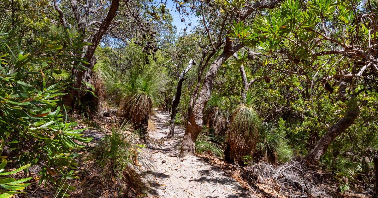Cooloola Great Walk (102km) - Great Sandy National Park, QLD