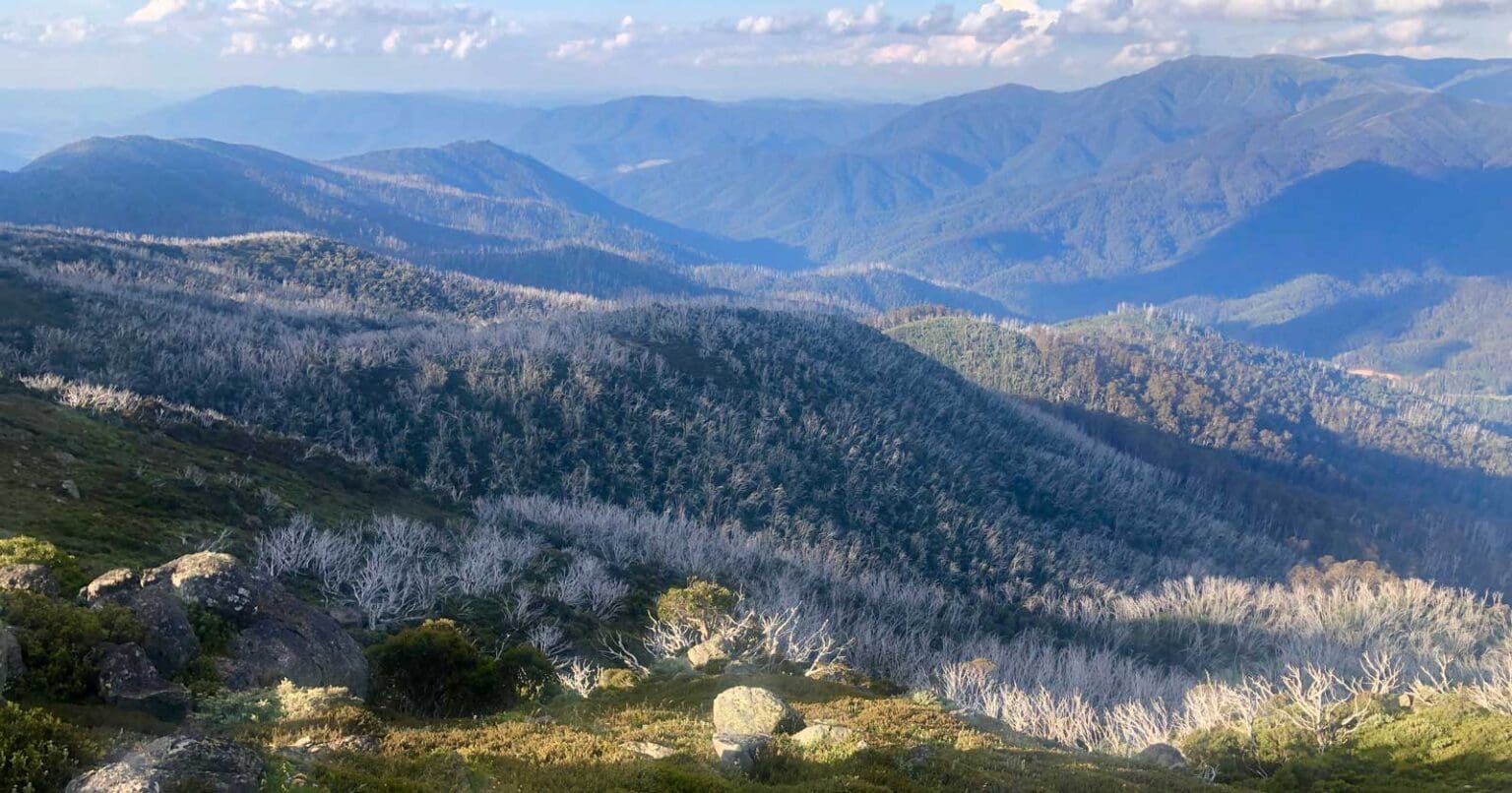 Mount Bogong - Staircase Spur Hike (21.5km) - Alpine National Park, VIC