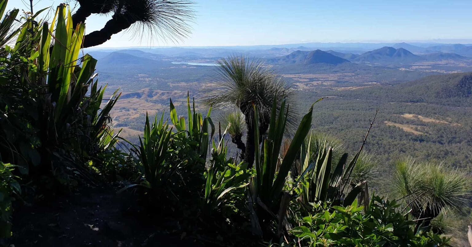 Mount Beerburrum Summit Walk (3.5km) - Glass House Mountains National ...