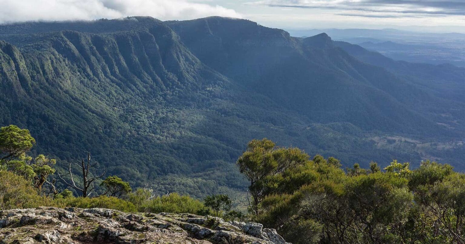 Best Hikes in Queensland | Trail Hiking Australia