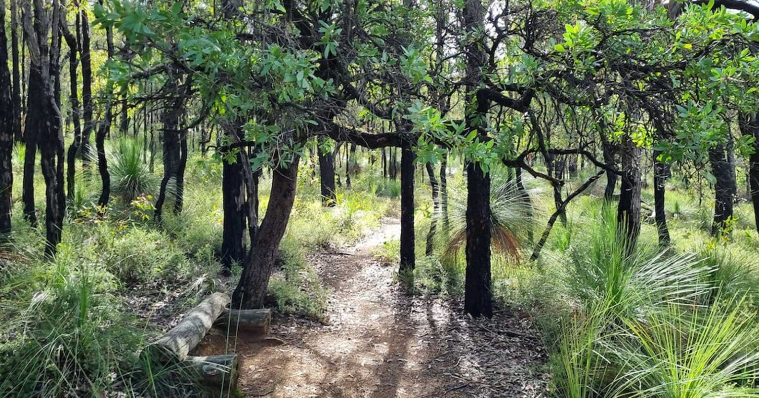 Hikes, Walks and Trails near Perth Australia