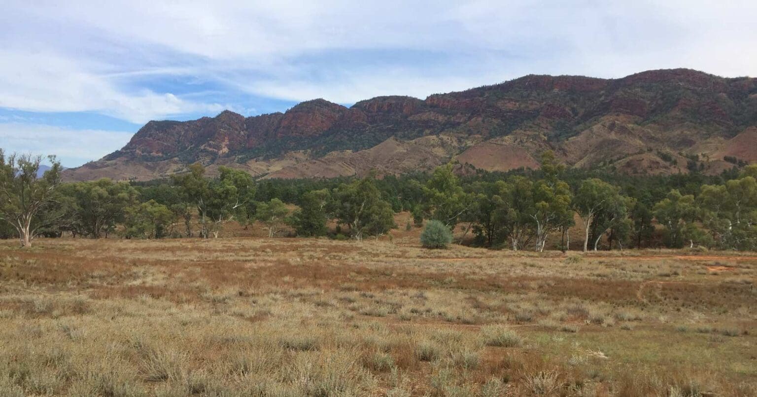 Mount Remarkable Summit Hike (14km) - Mount Remarkable National Park, SA