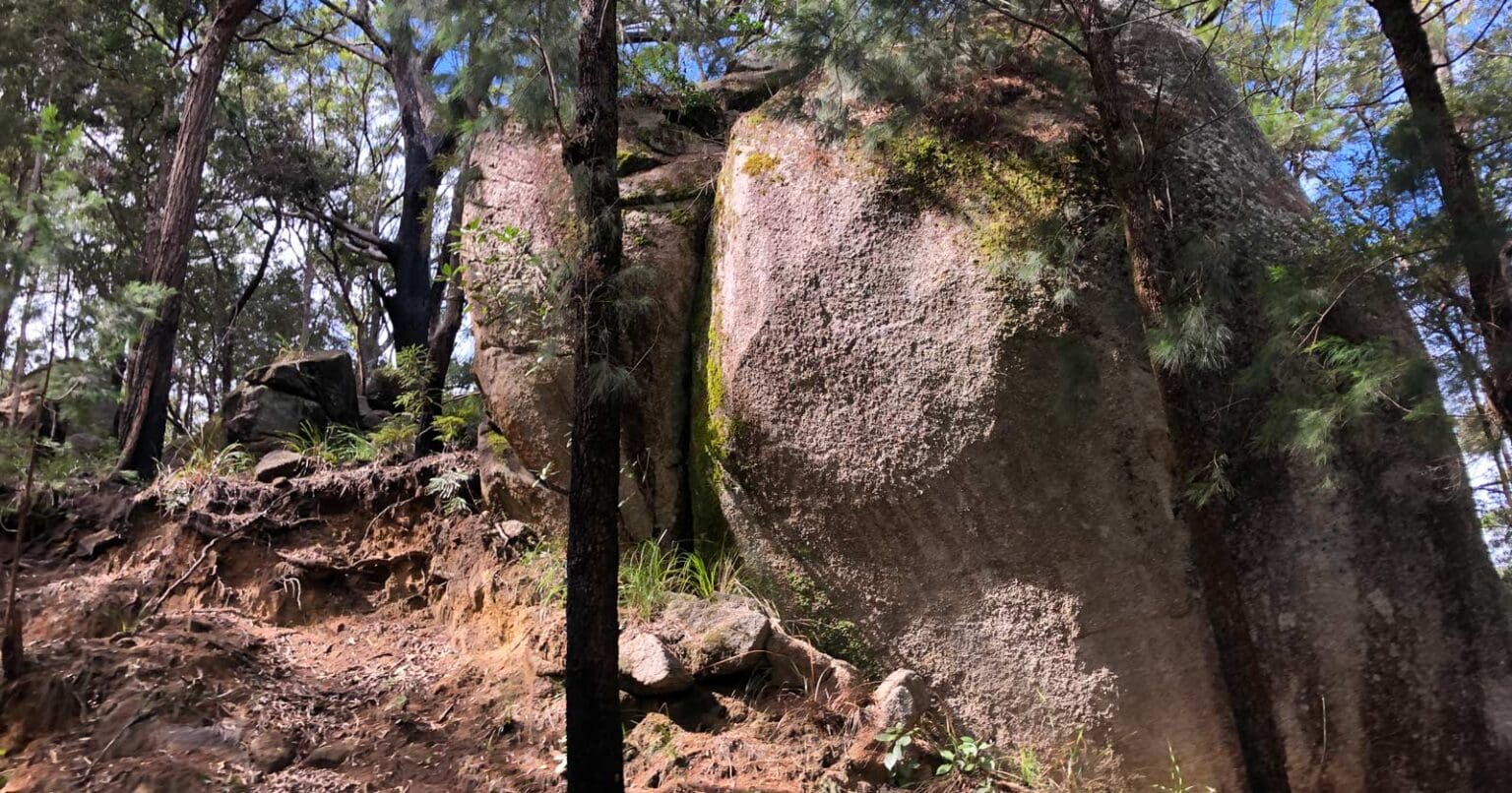 Walshs Pyramid Walking Track (6km) - Wooroonooran National Park, QLD
