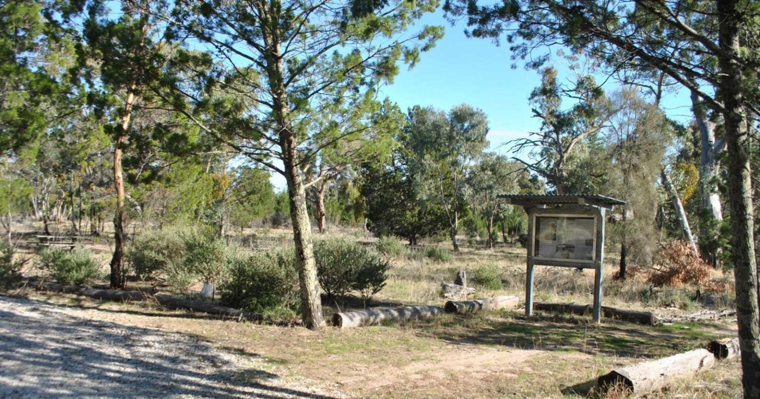 The Wail Trail - Wail State Forest, VIC