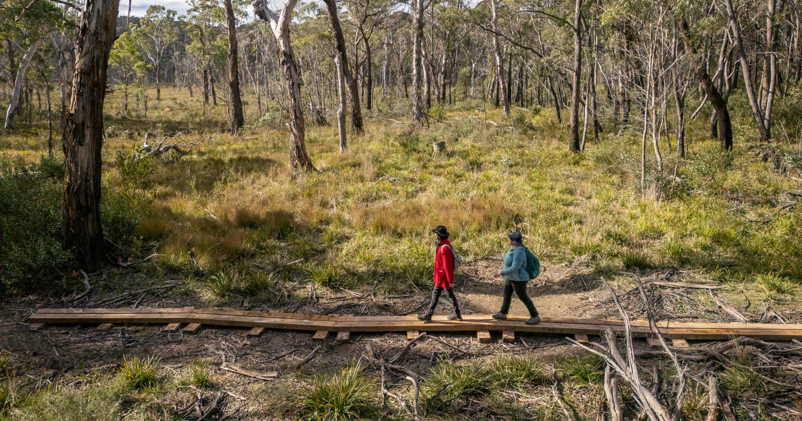 Broad Swamp Loop Walk (6km) - Gardens of Stone State Conservation Area, NSW